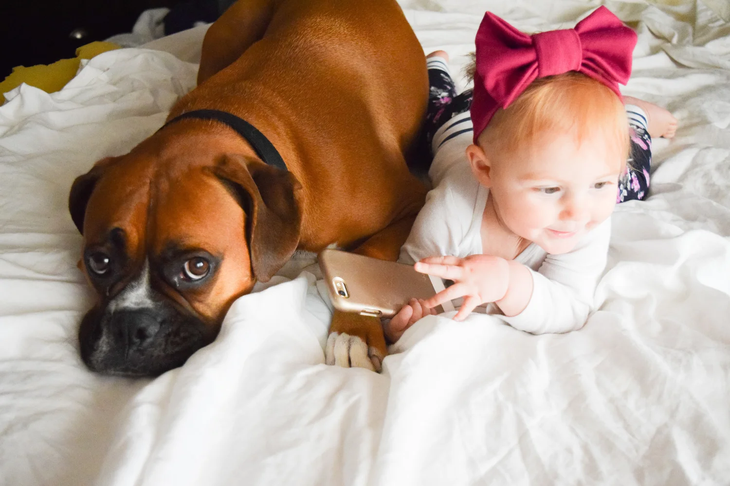Just A Baby + Her Boxer — Jenn Hallak