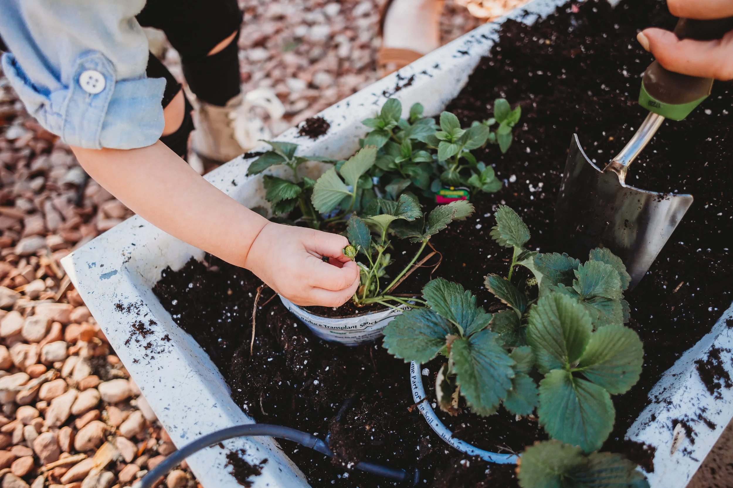 6 Reasons You Should Garden with Your Kids — Jenn Hallak