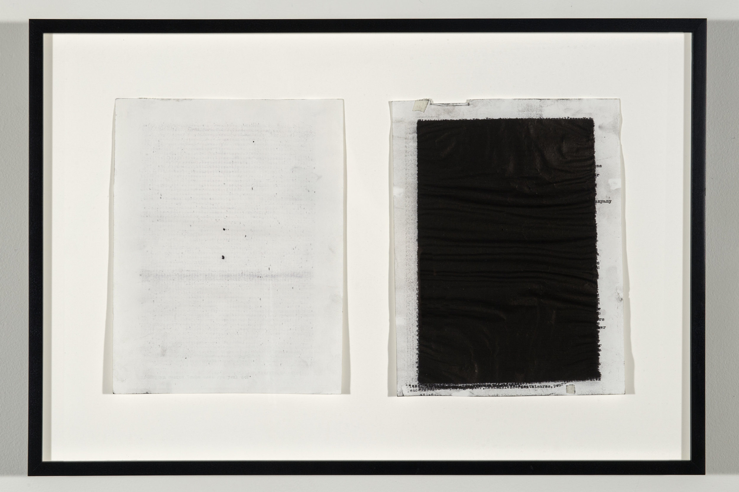 TIM YOUD — Curator