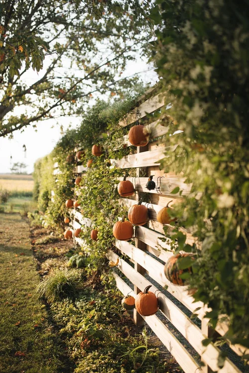 Outdoor fall wedding — A Garden Party