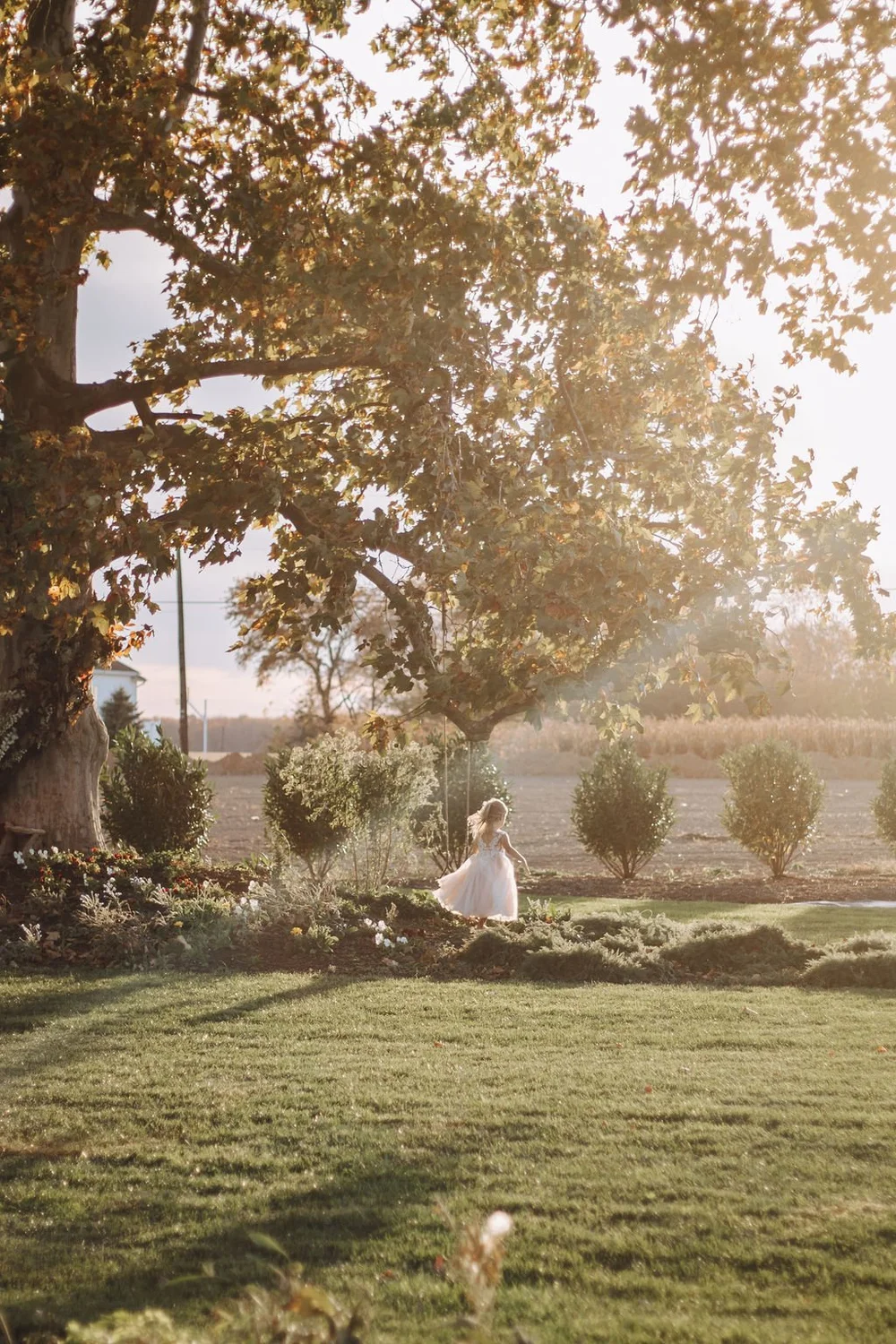 Cascading Tree Florals Wedding — A Garden Party