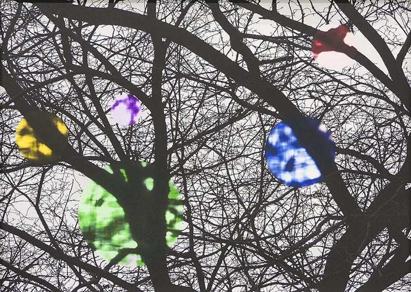 Wayne Youle — {Suite} Art Gallery, Auckland & Wellington, New Zealand