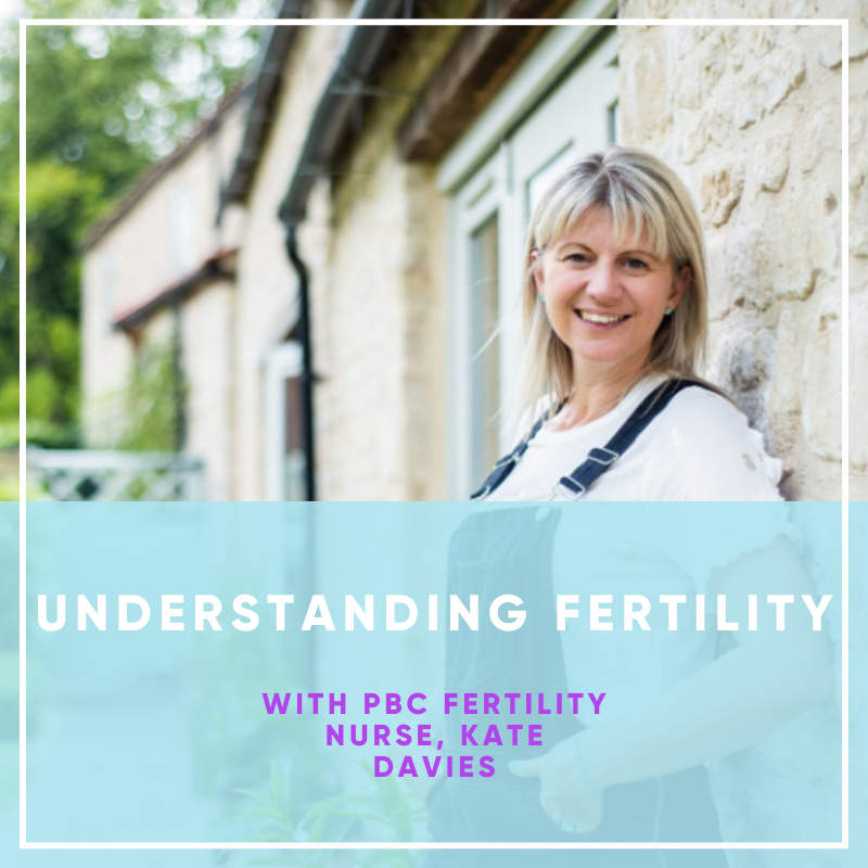 Classes On Childbirth, Pregnancy, Postpartum & More