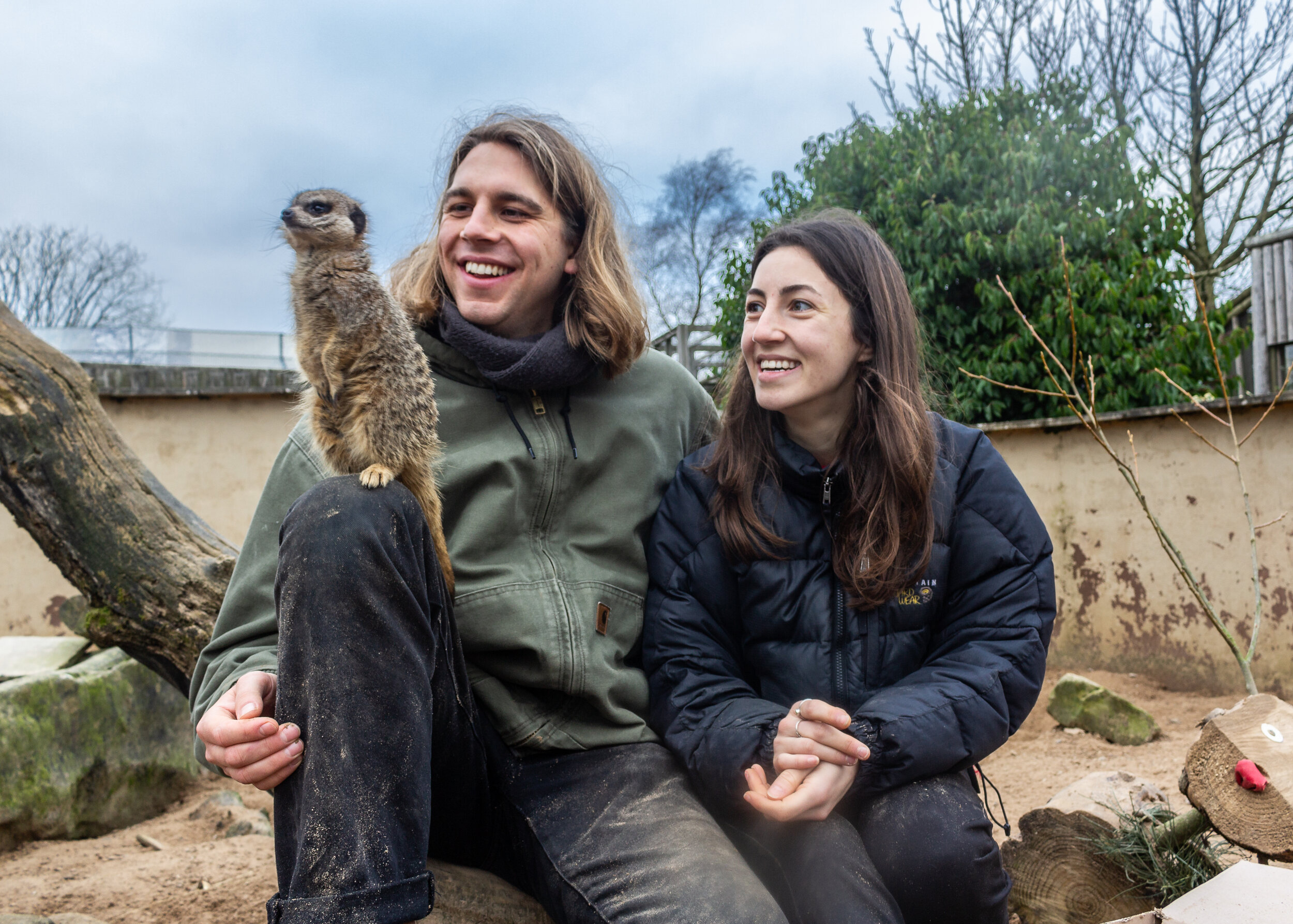 Animal Experiences — Peak Wildlife Park