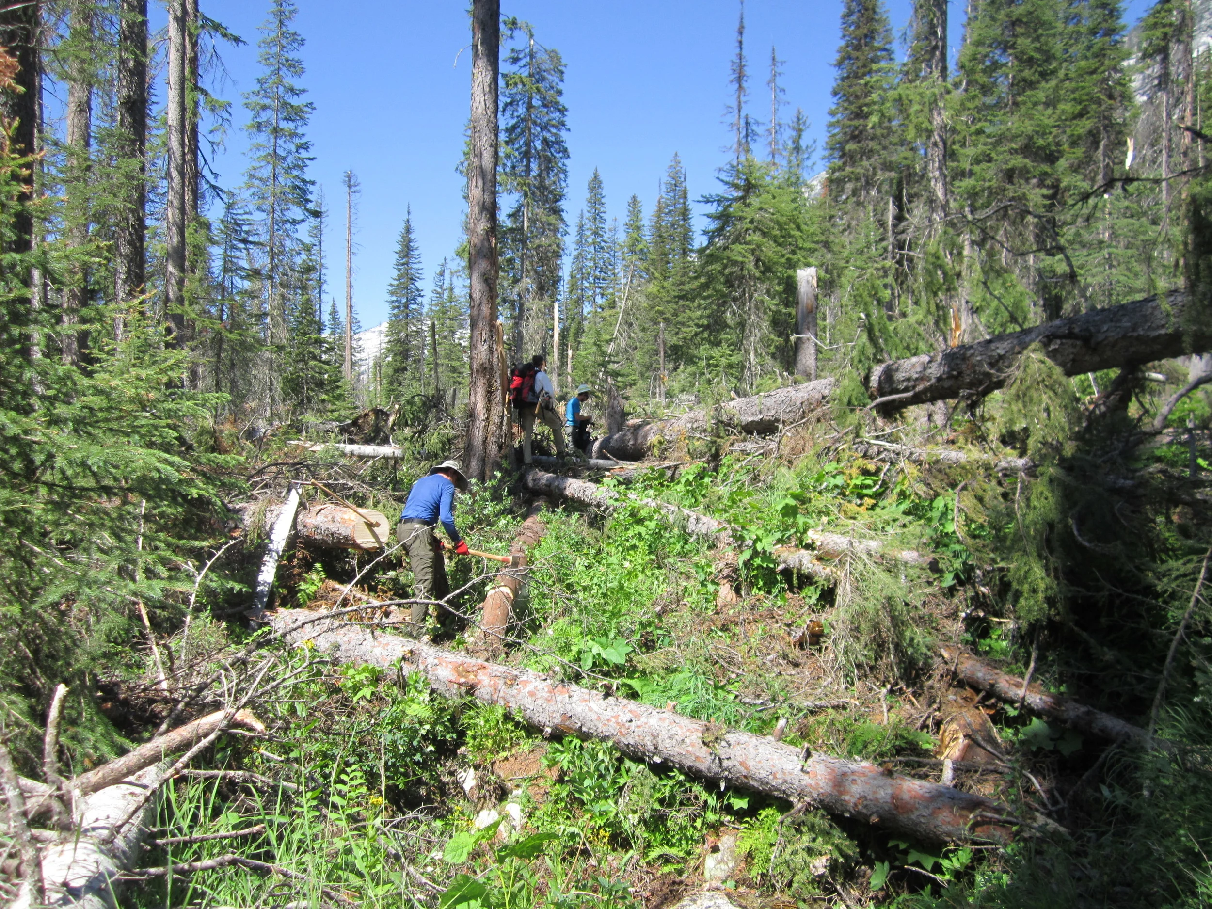 Clearing Blodgett post Microbursts — Selway Bitterroot Frank Church ...