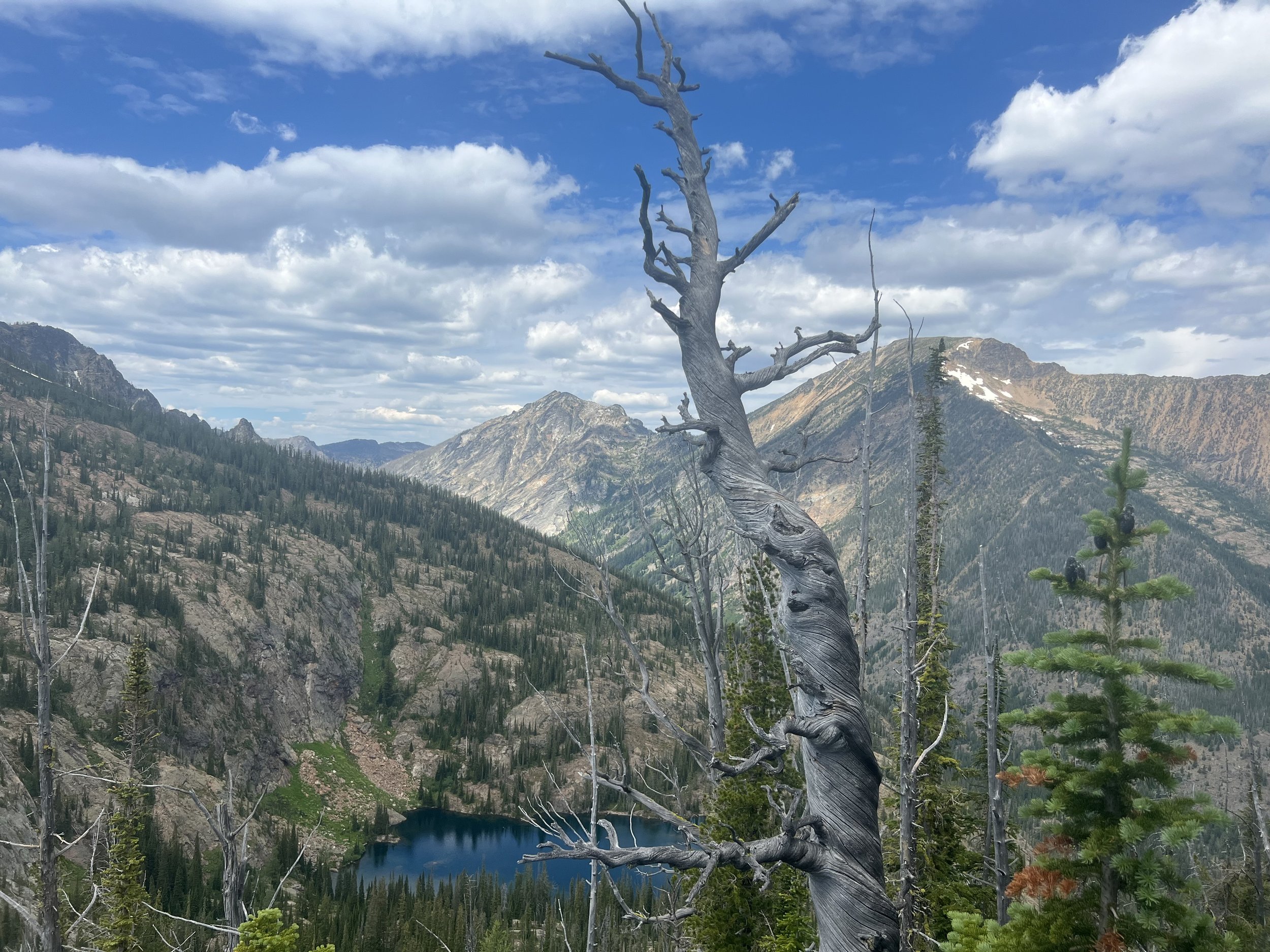Bitterroot National Forest