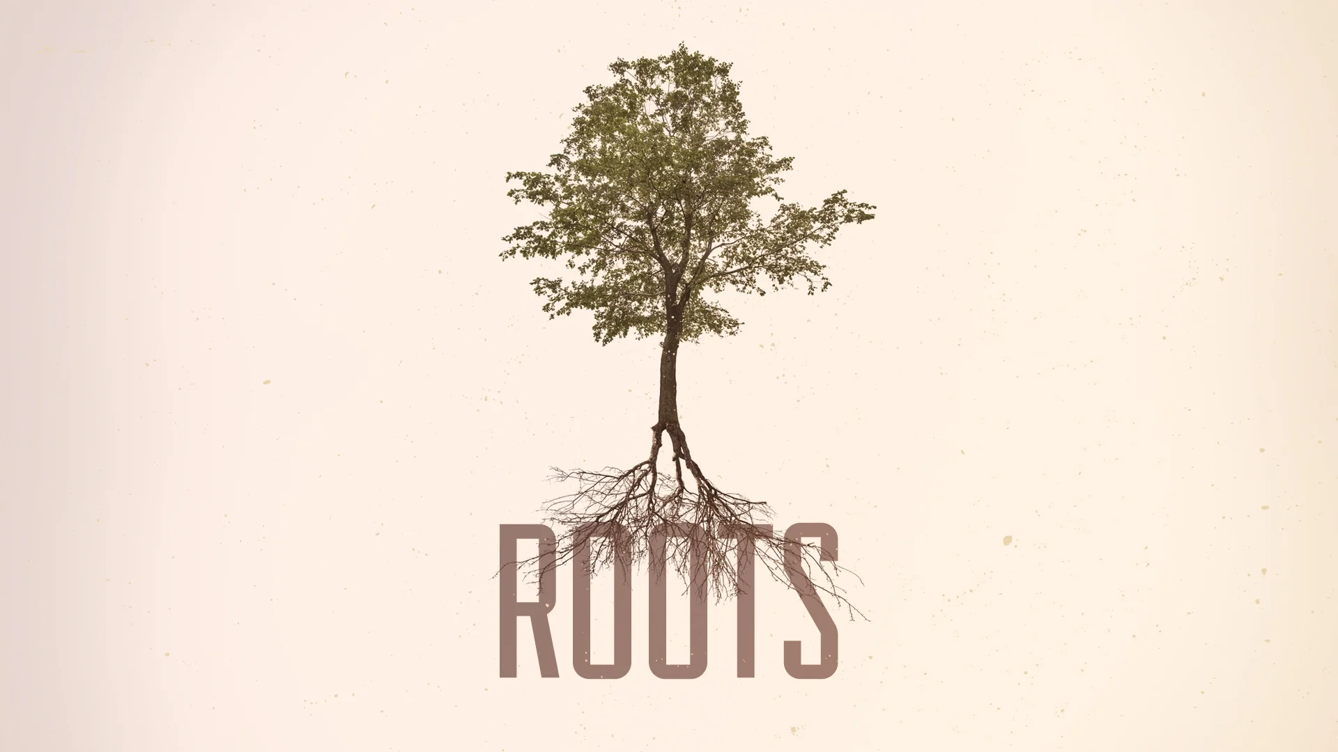 Sermons — Mosaic Christian Church