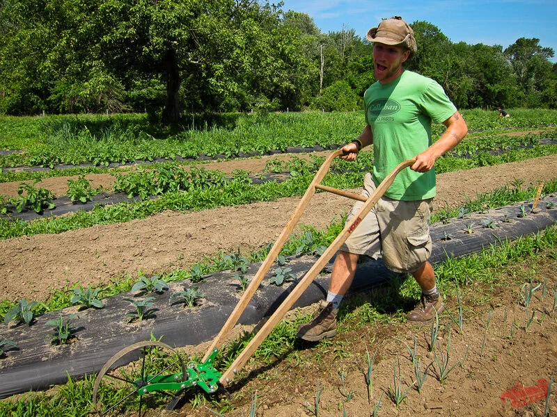 Starting My Farm with John Suscovich — Farm Marketing Solutions