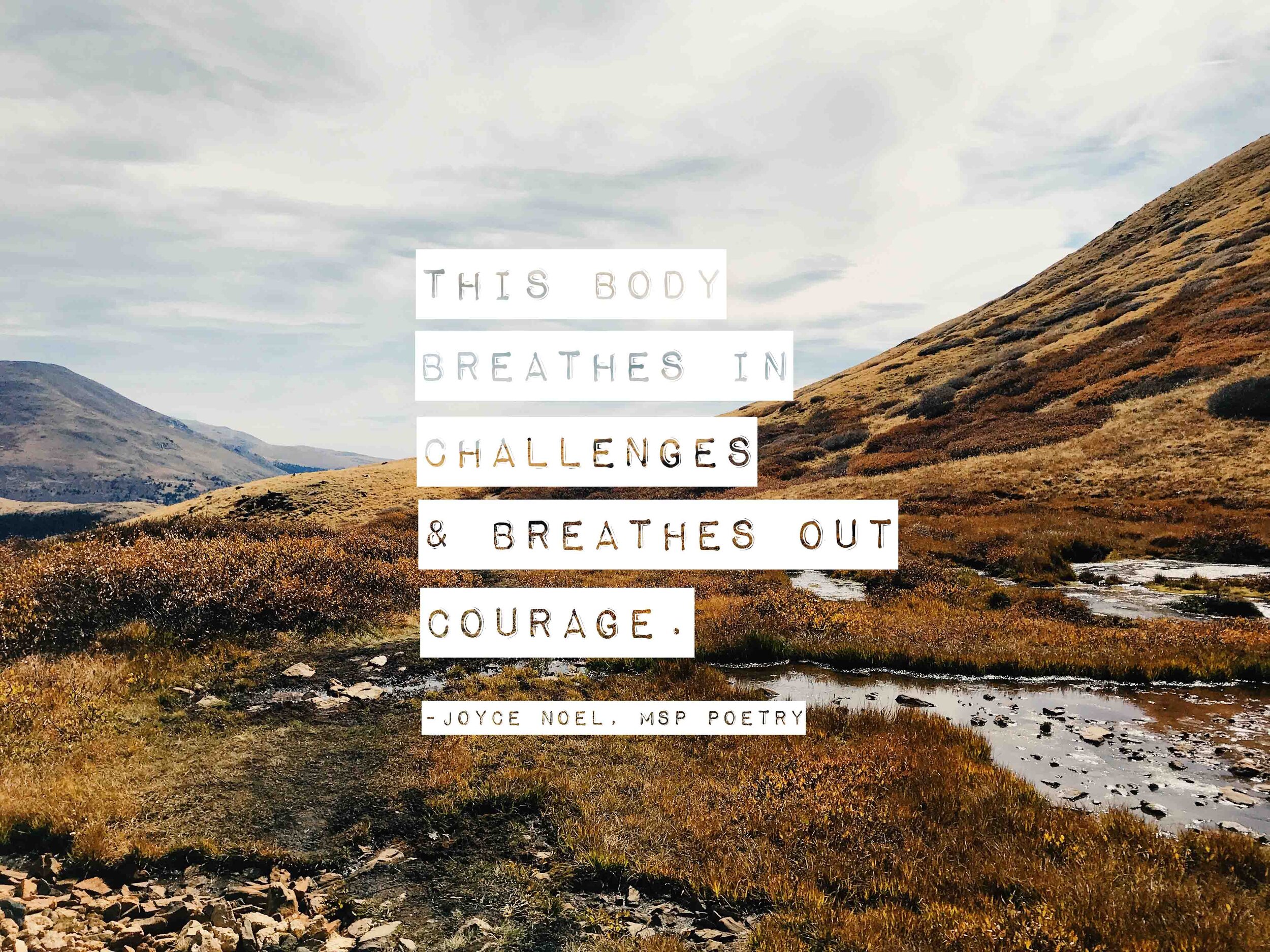 Poetry — MoonShadow Press