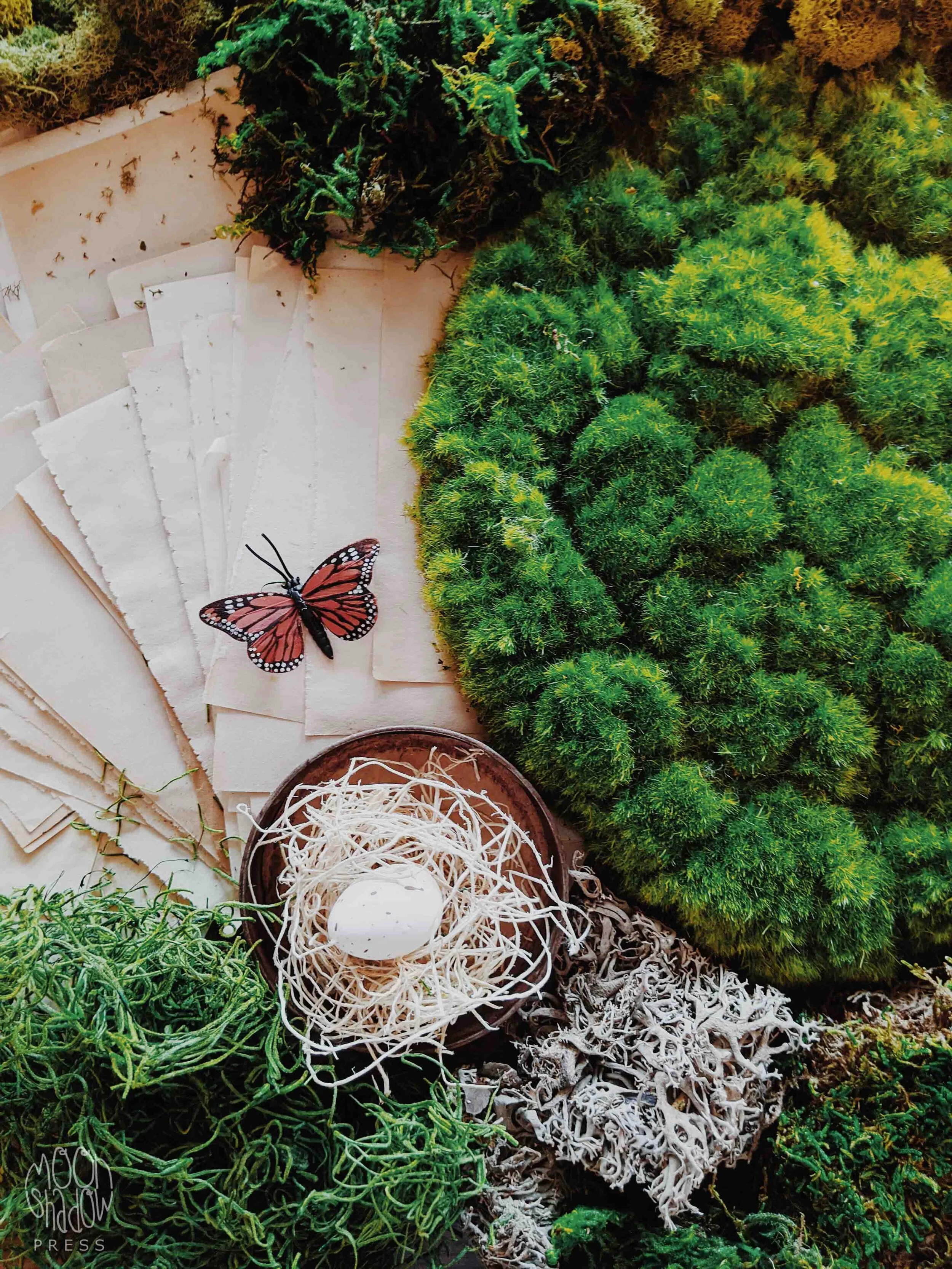 Forest Vibes — MoonShadow Press