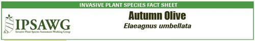 Landowner Toolkit — State of Indiana Cooperative Invasives Management