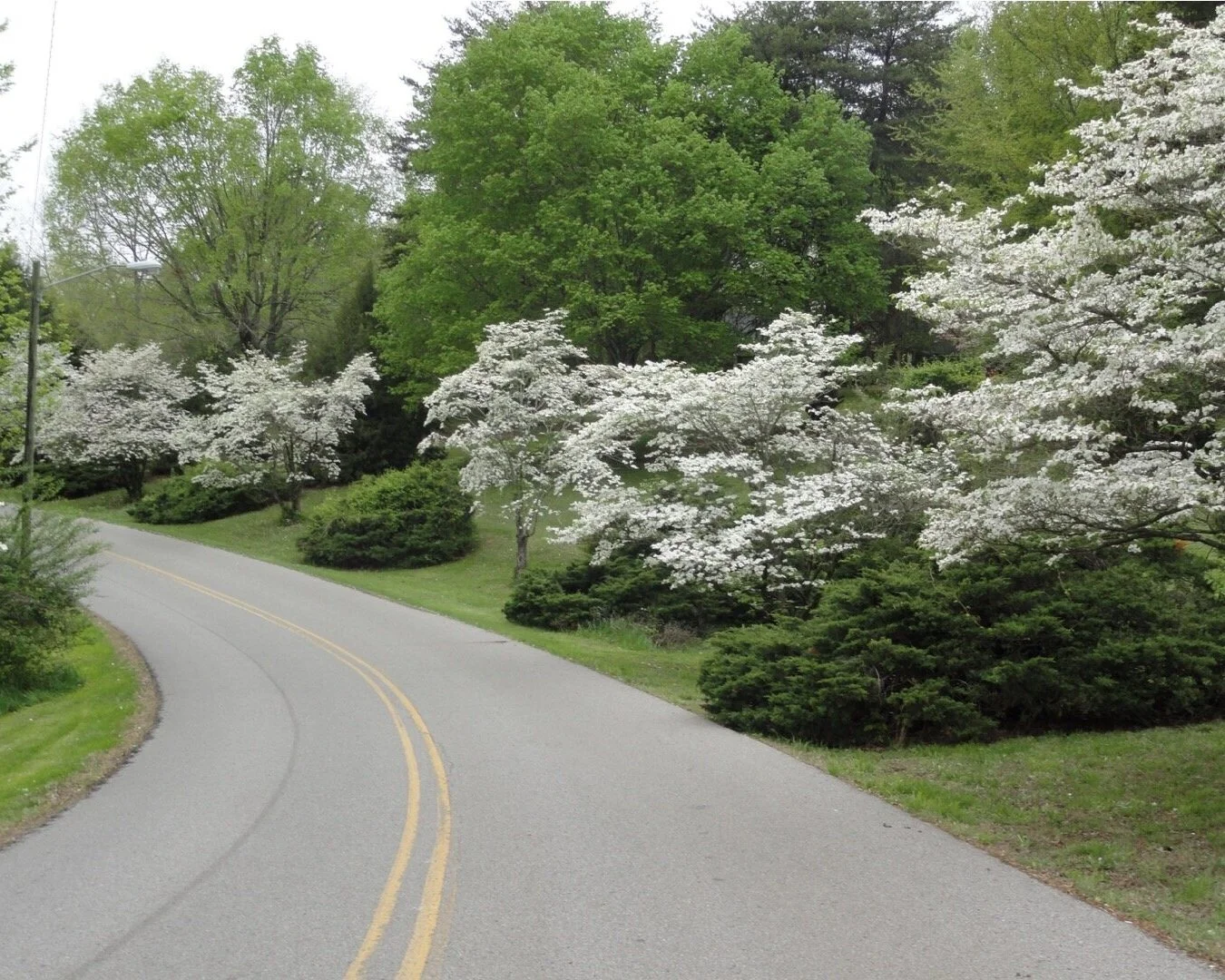 Indiana Invasive Species Week - Day 1 — Southern Indiana Cooperative ...