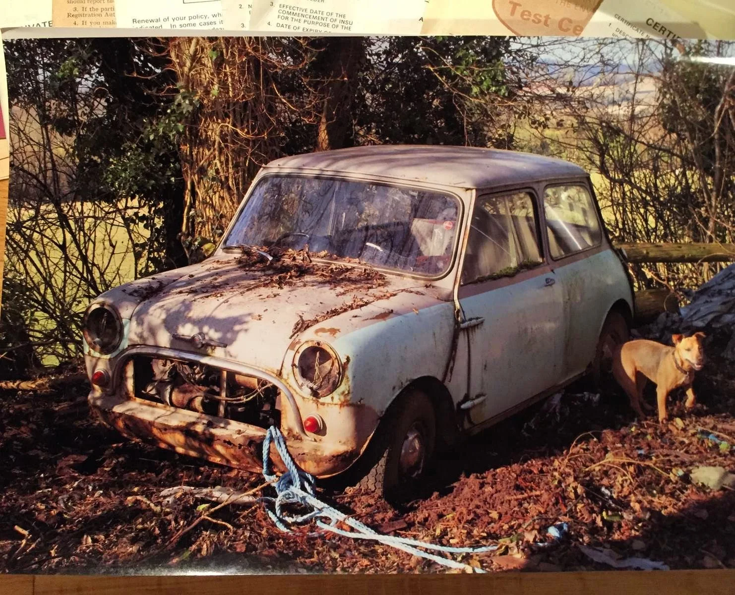1960 MK1 Mini Restoration — The Real Mini Company
