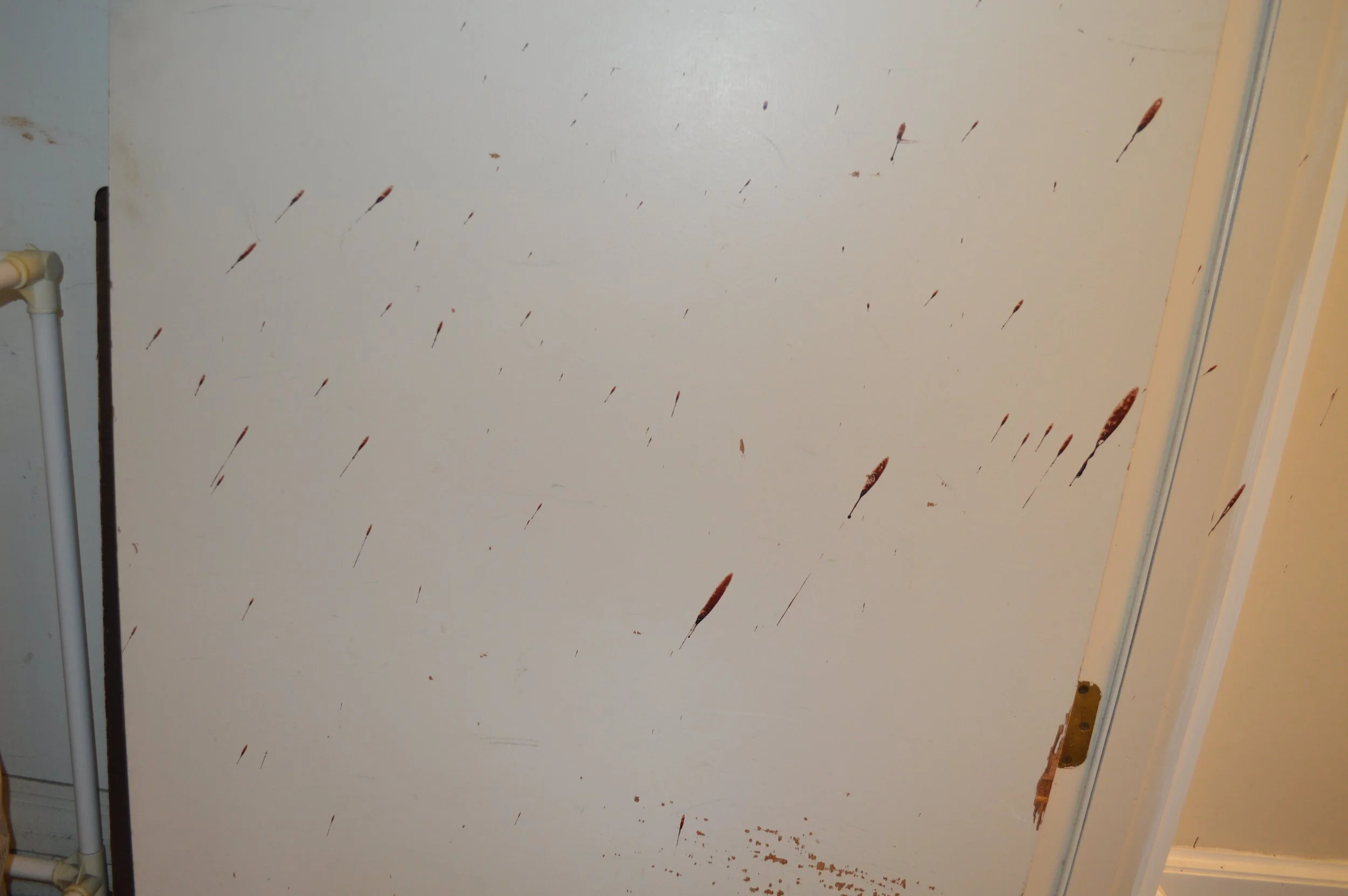 Lab Testing: All Florida Investigations & Forensic Services, Inc