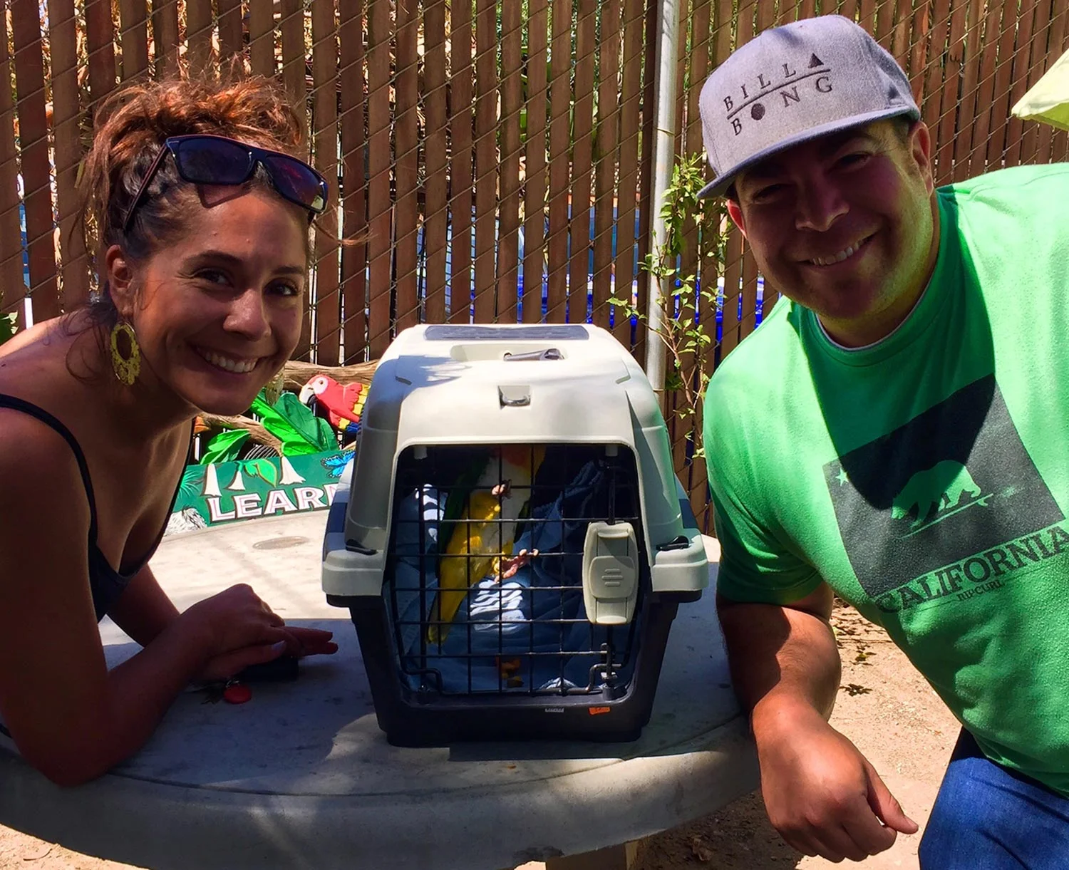 Adopt A Companion Bird | Free Flight Exotic Bird Sanctuary