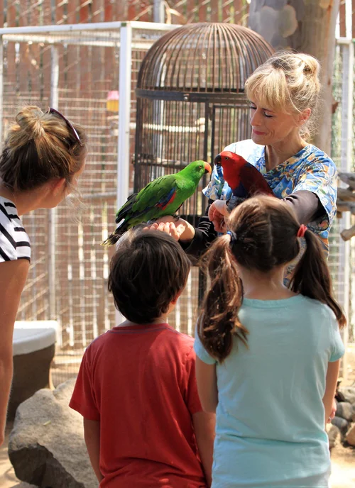 Free Flight Exotic Bird Sanctuary