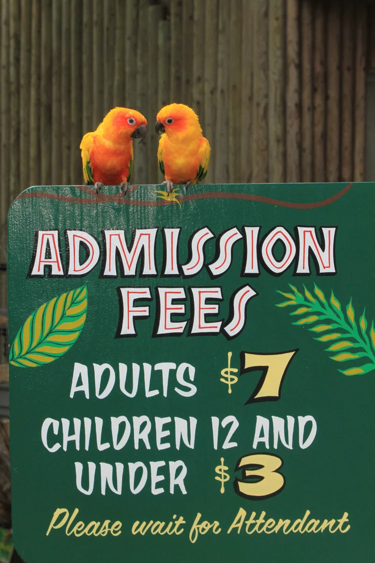 Free Flight Exotic Bird Sanctuary