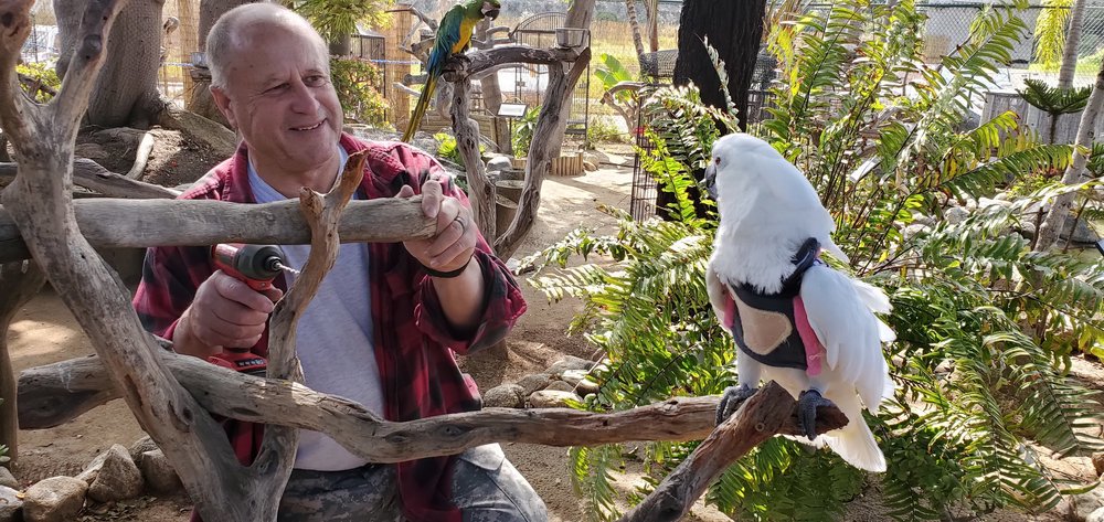 Volunteer Program | Free Flight Exotic Bird Sanctuary