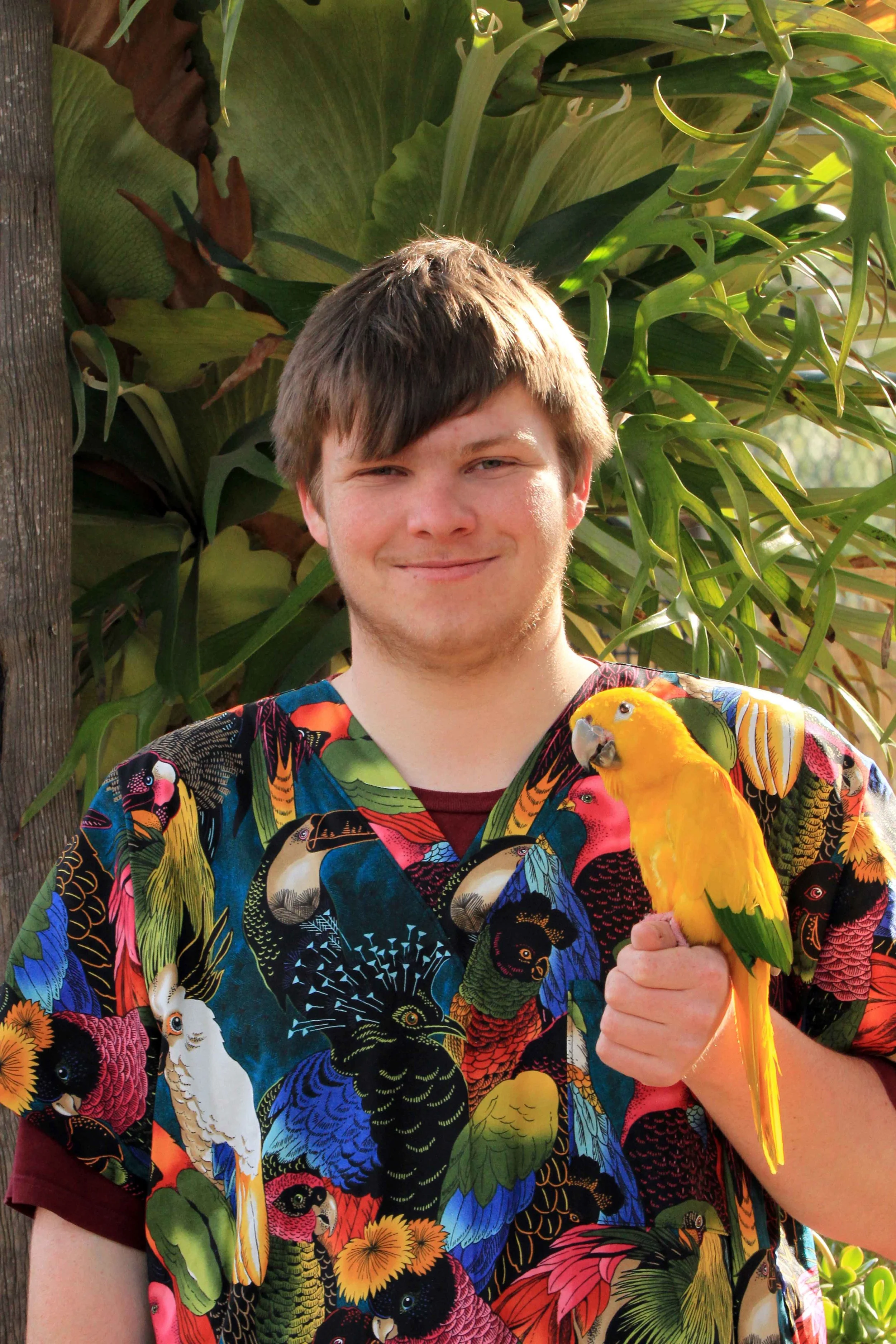 About Us | Free Flight Exotic Bird Sanctuary