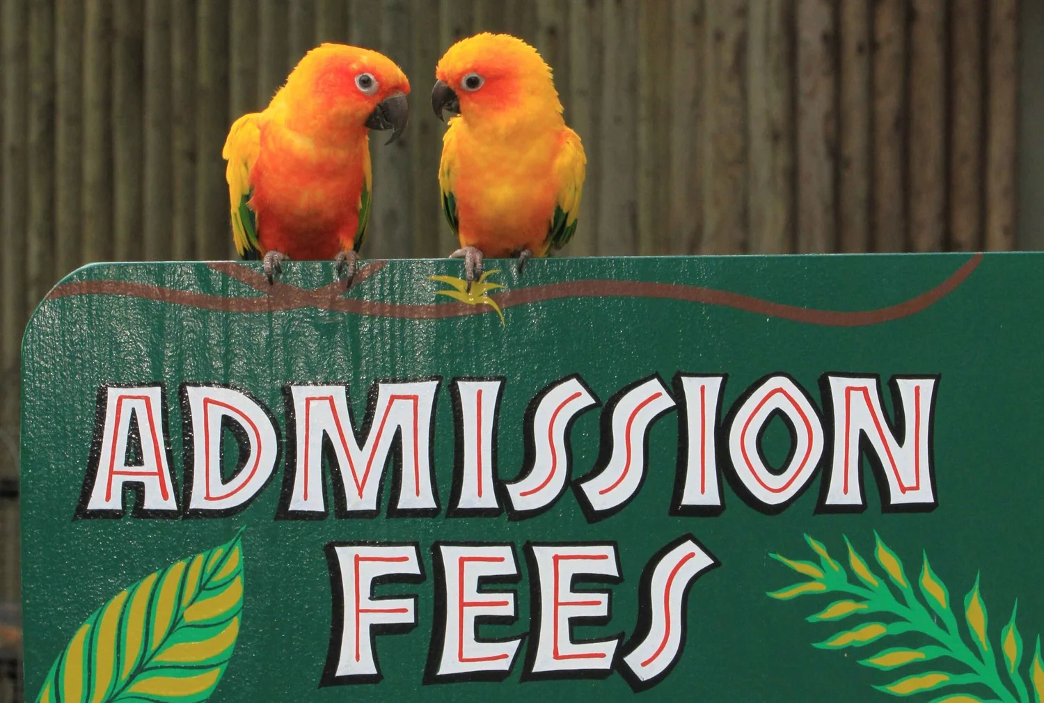 About Us | Free Flight Exotic Bird Sanctuary