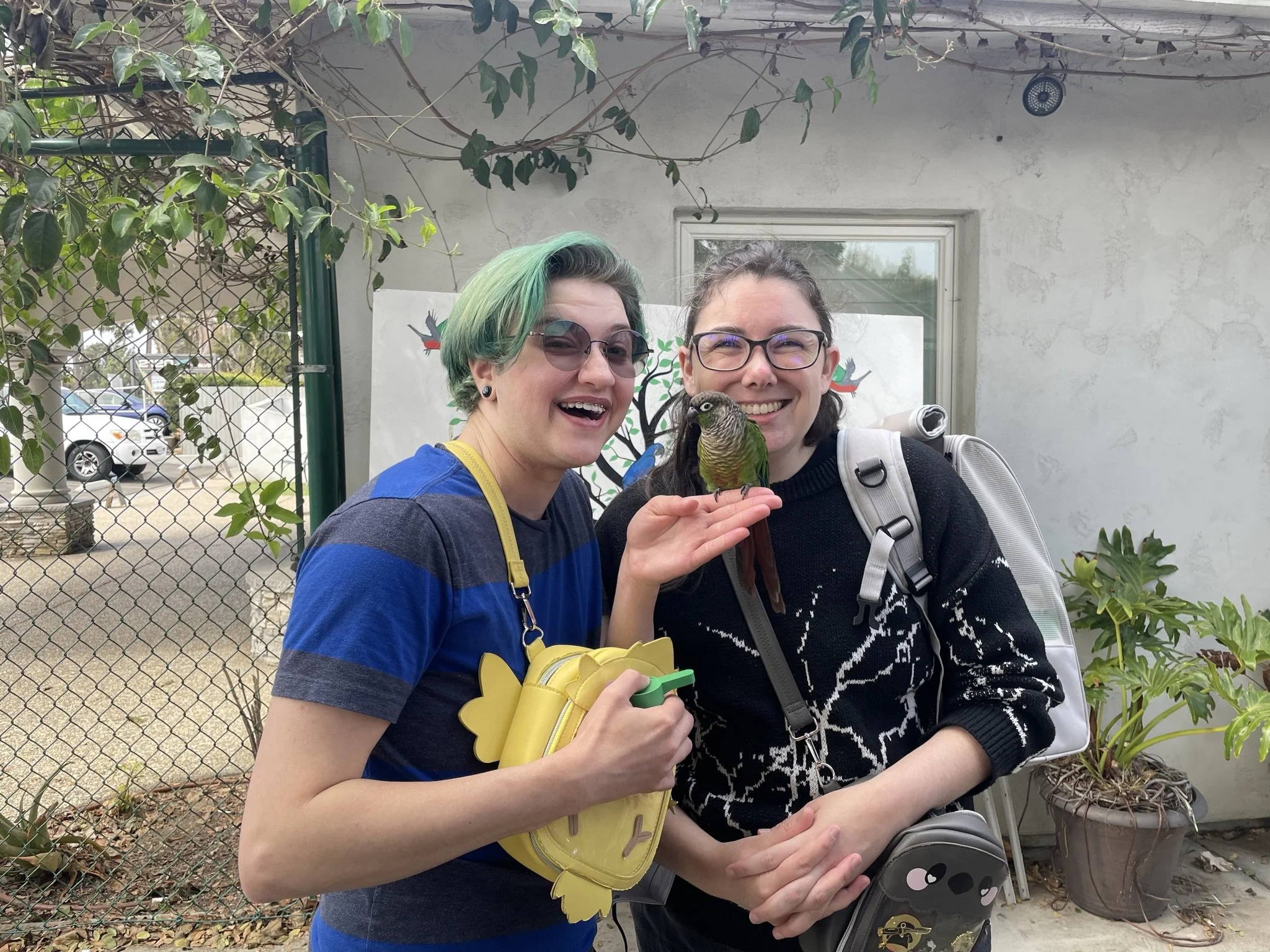 Adopt A Companion Bird | Free Flight Exotic Bird Sanctuary