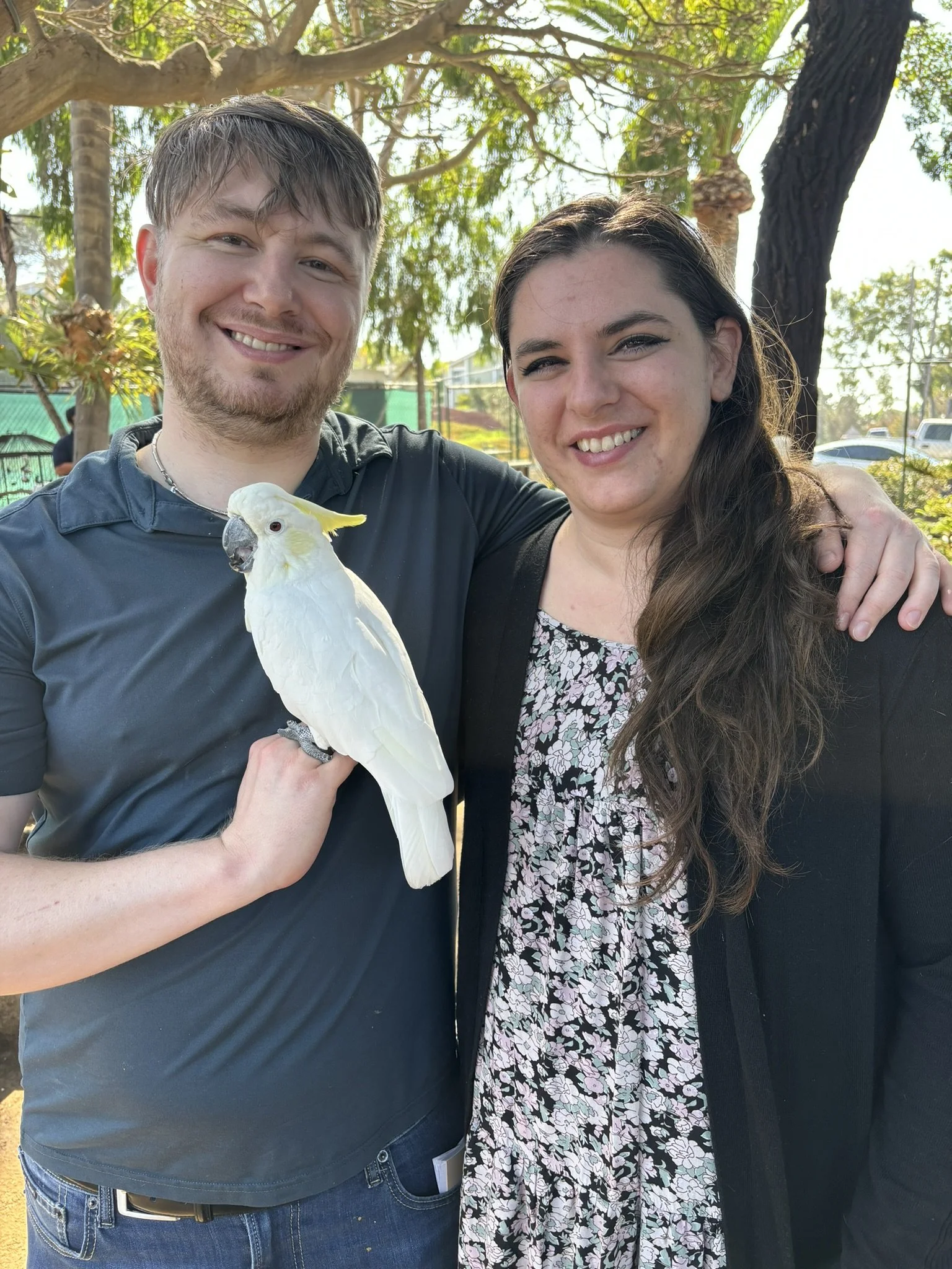 Adopt A Companion Bird | Free Flight Exotic Bird Sanctuary