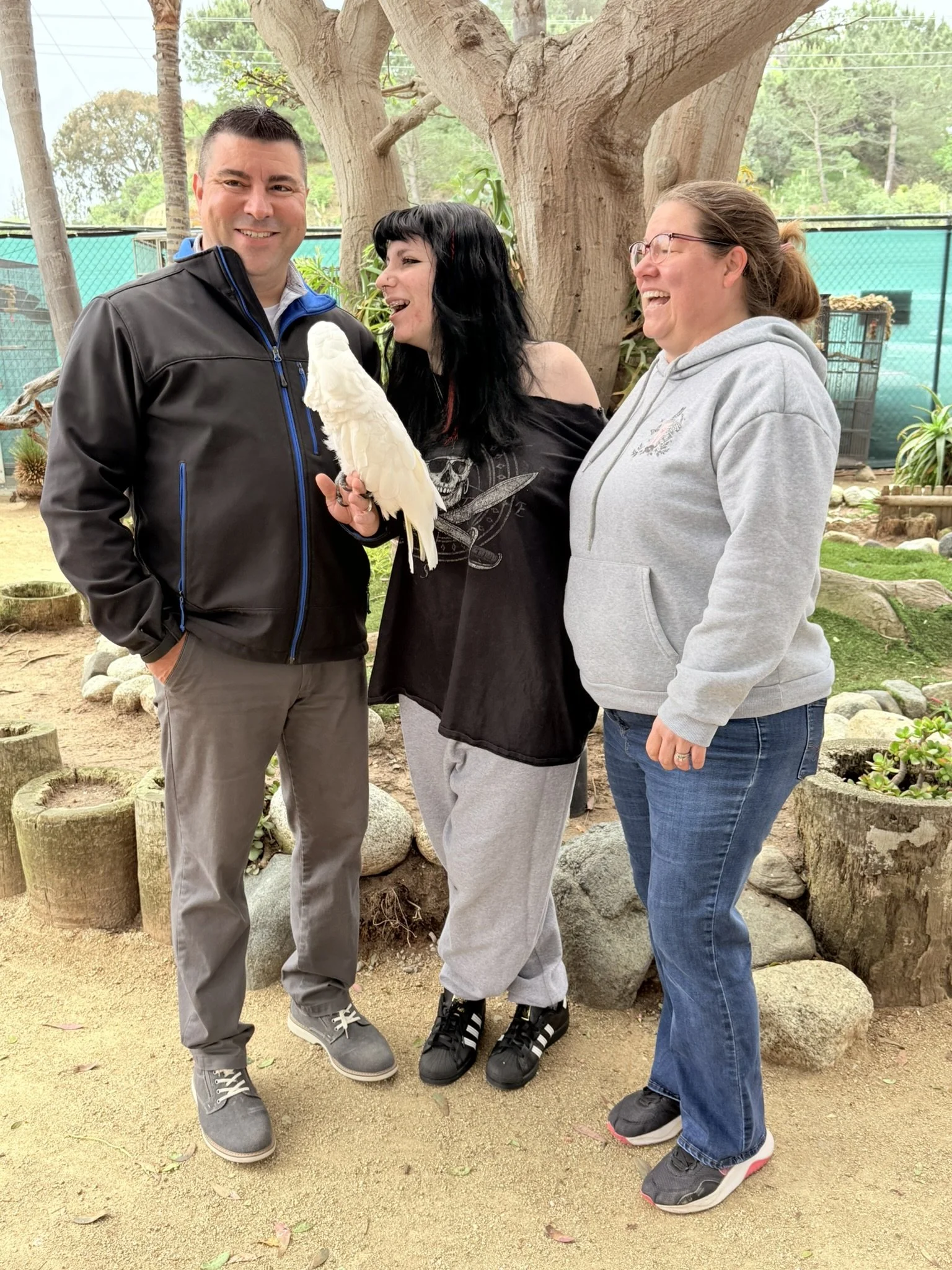 Adopt A Companion Bird | Free Flight Exotic Bird Sanctuary