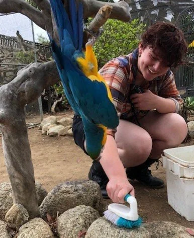 Volunteer Program | Free Flight Exotic Bird Sanctuary