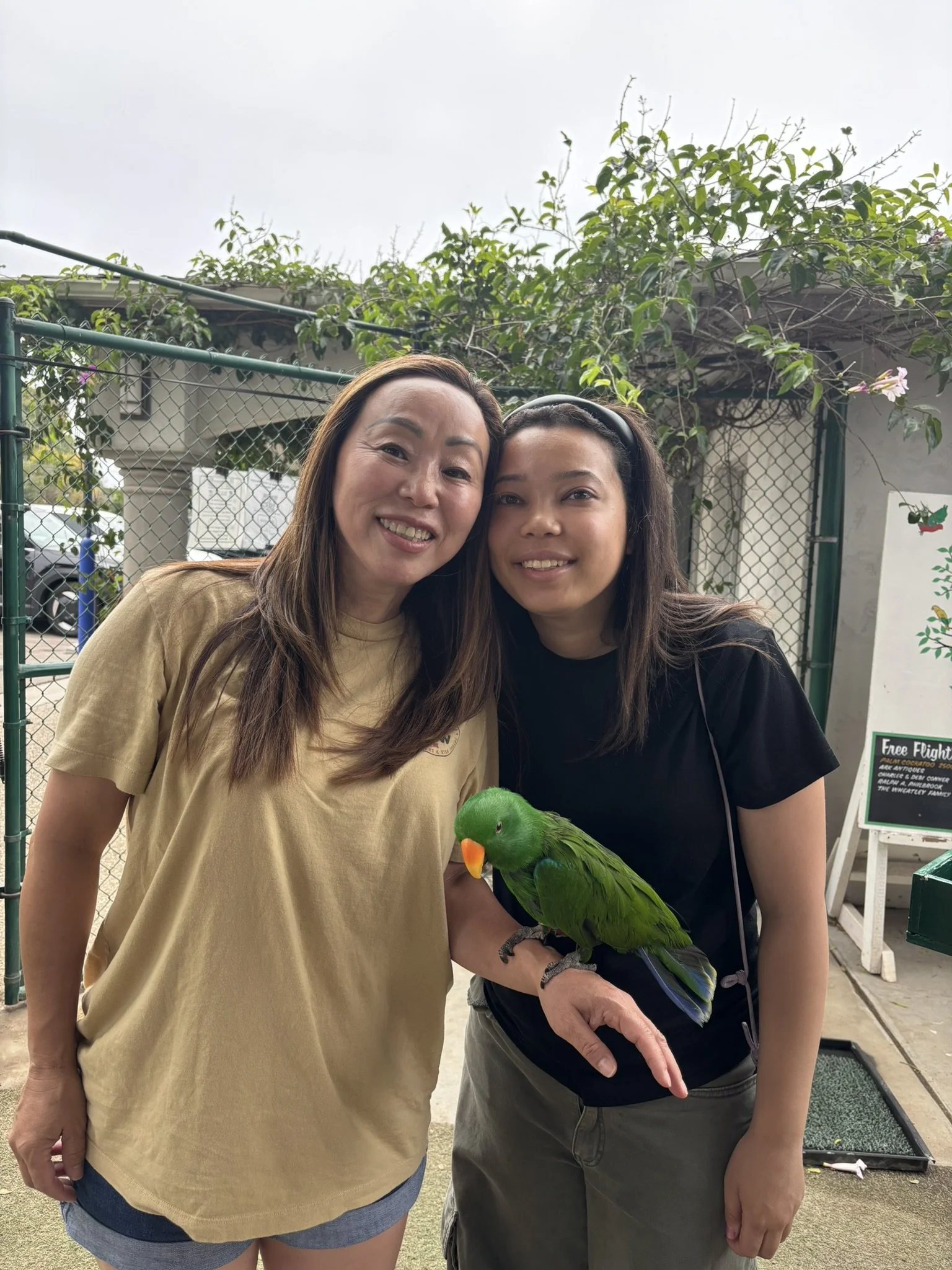 Adopt A Companion Bird | Free Flight Exotic Bird Sanctuary