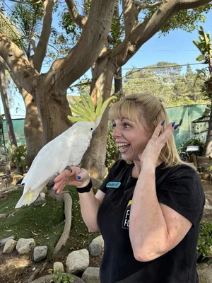 Adopt A Companion Bird | Free Flight Exotic Bird Sanctuary