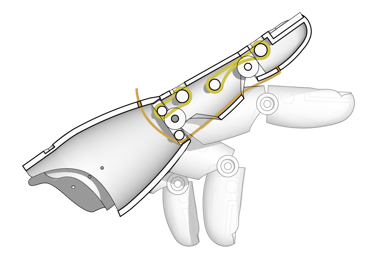 DIGI-RIG — erica lynn frank