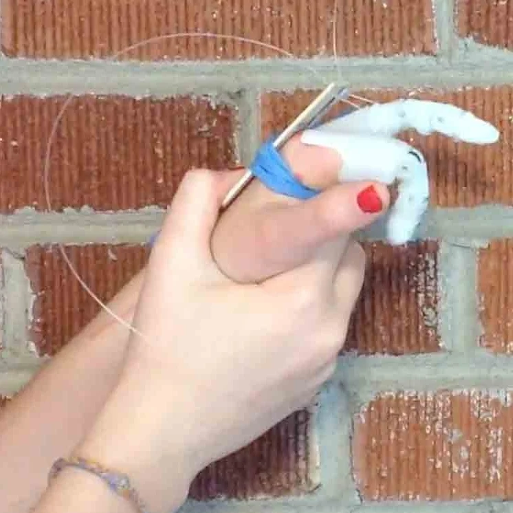 DIGI-RIG — erica lynn frank