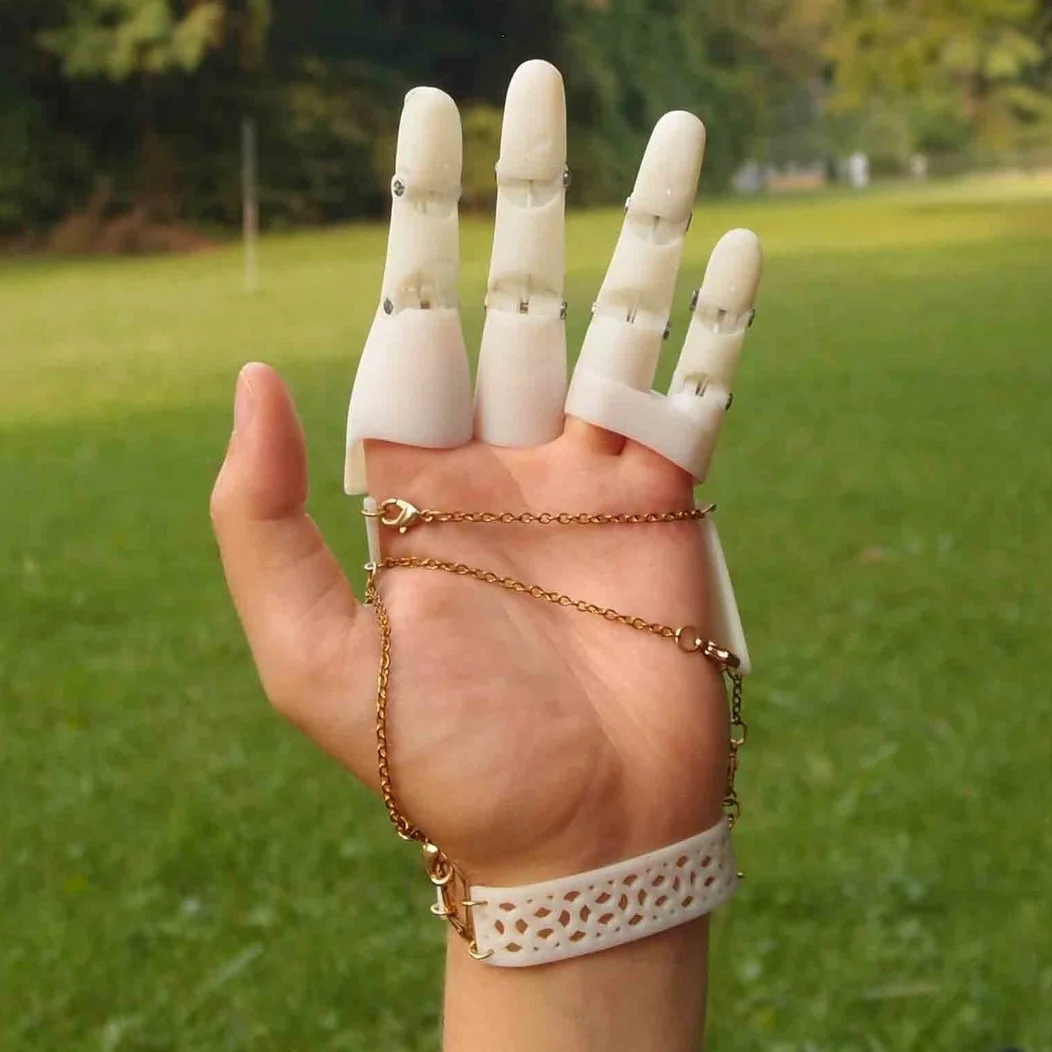 DIGI-RIG — erica lynn frank