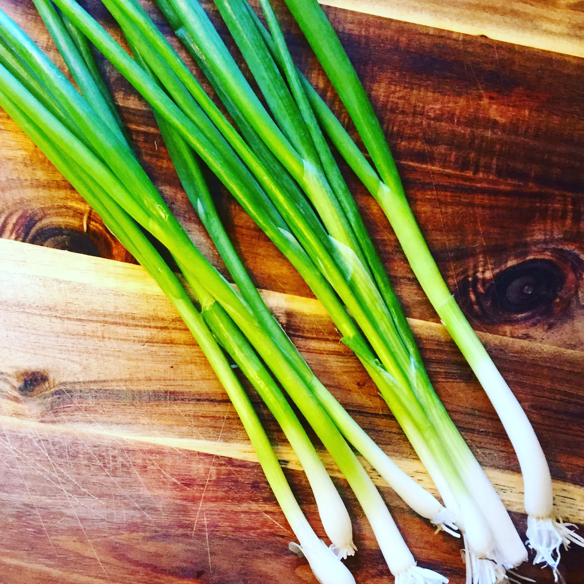Green onions are in season! — Lester's Eats Food Blog