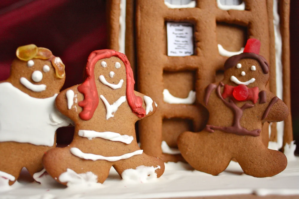 How To: Build Your Own Gingerbread Tardis — Sugared Nerd