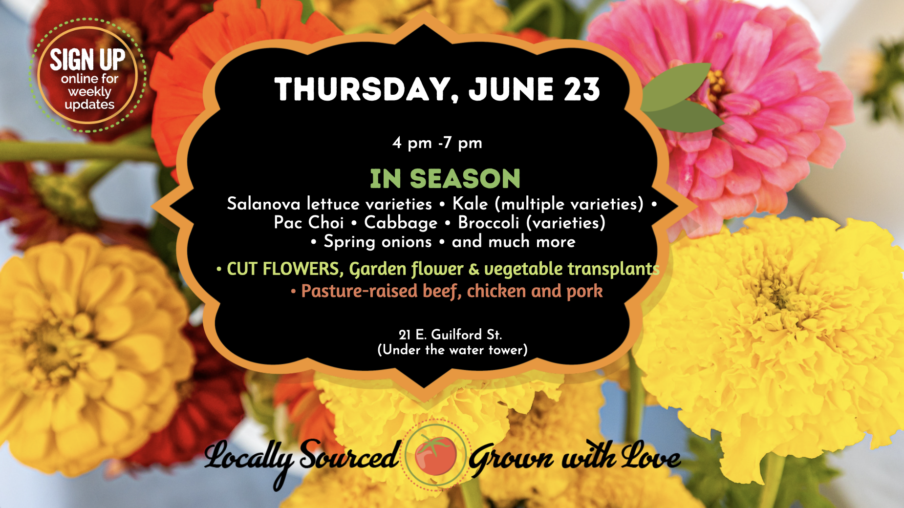 Market Days — Thomasville Farmers Market