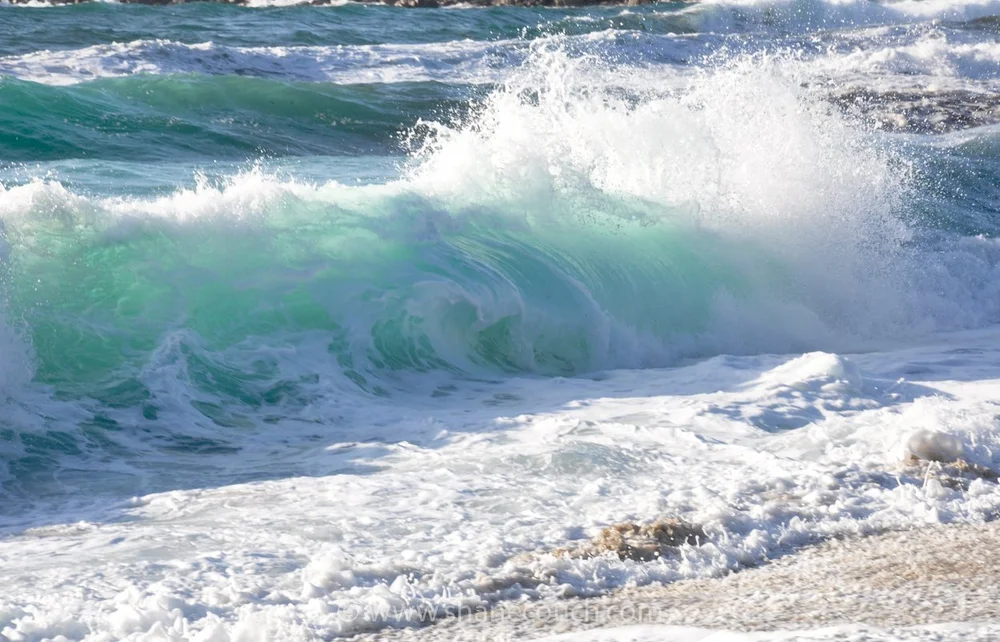 Photography — Shane Couch - Marine Artist