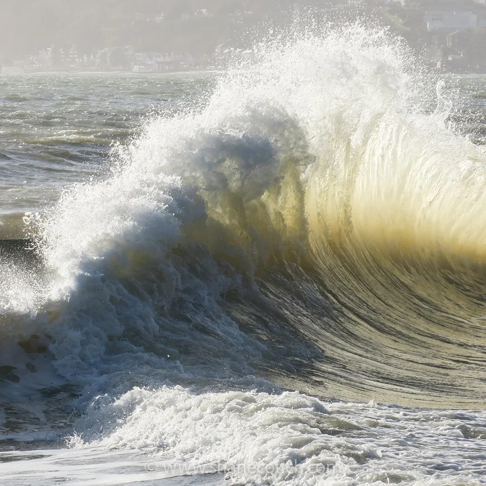 Photography — Shane Couch - Marine Artist