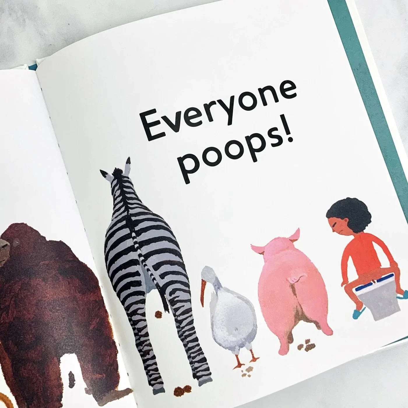 Let’s Talk Constipation.... — Redeeming Wellness