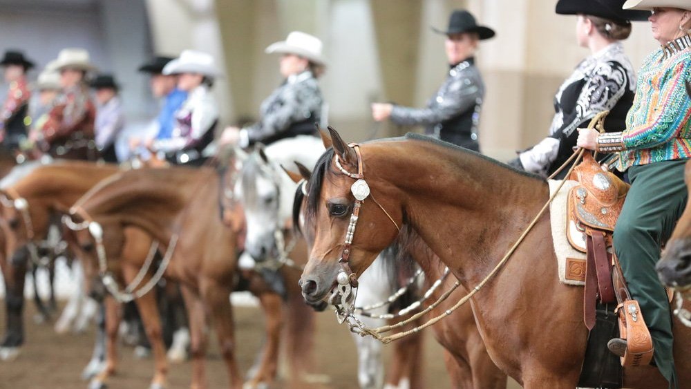 The Oregon Horse Center