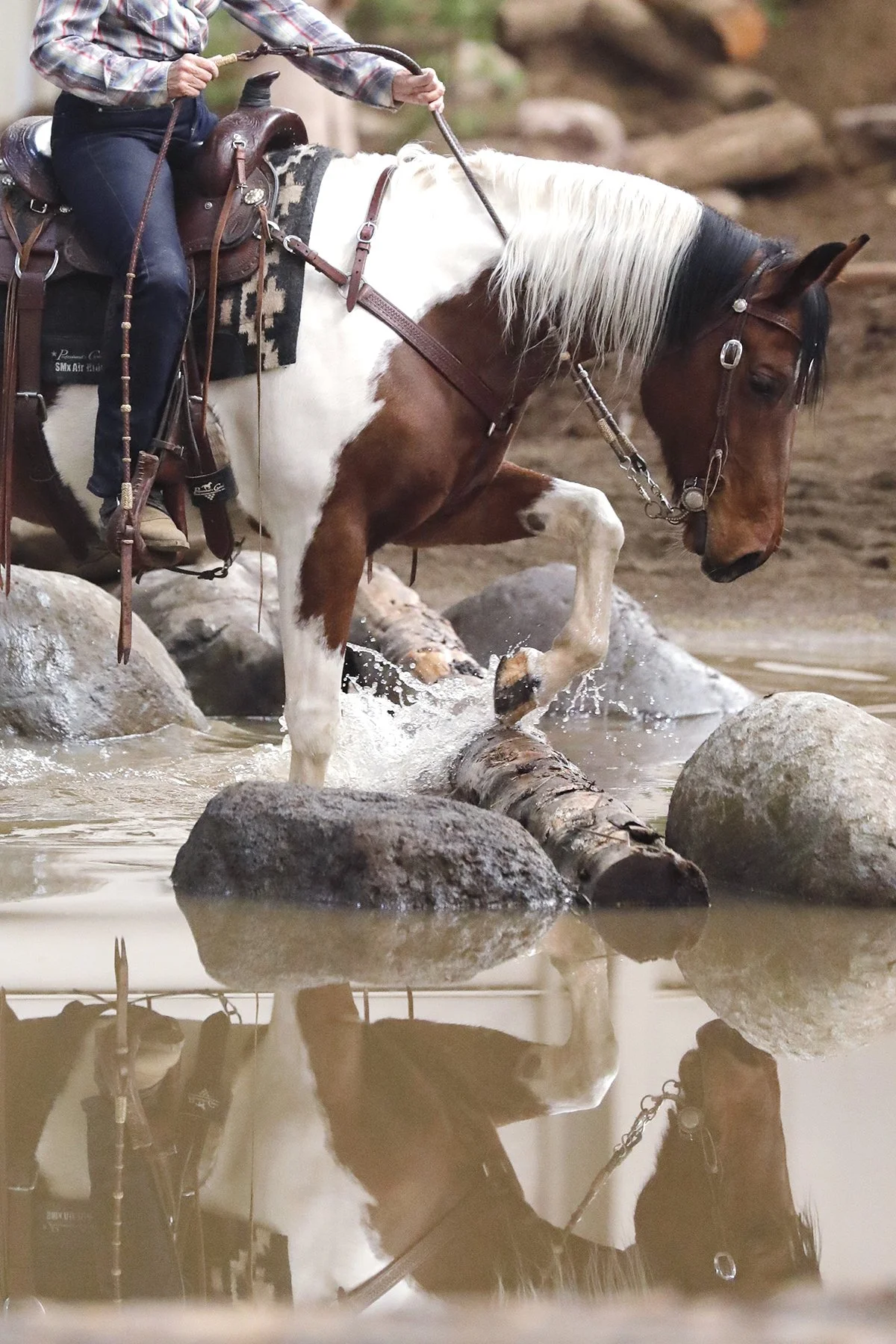 The Oregon Horse Center