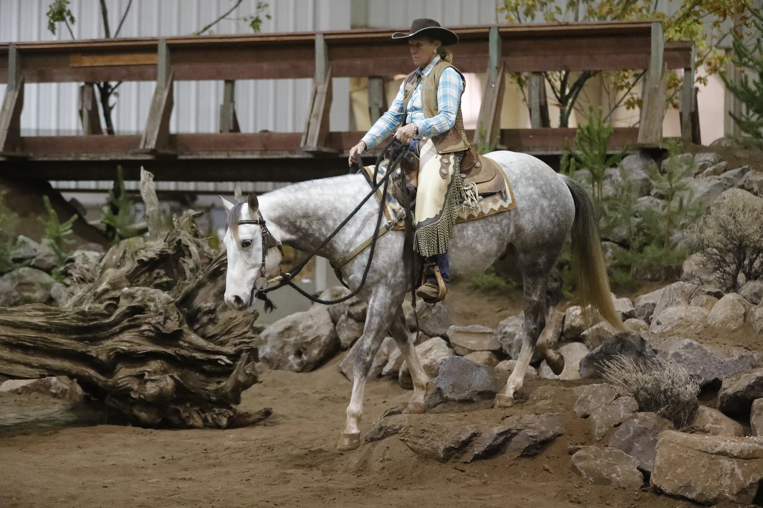 The Oregon Horse Center