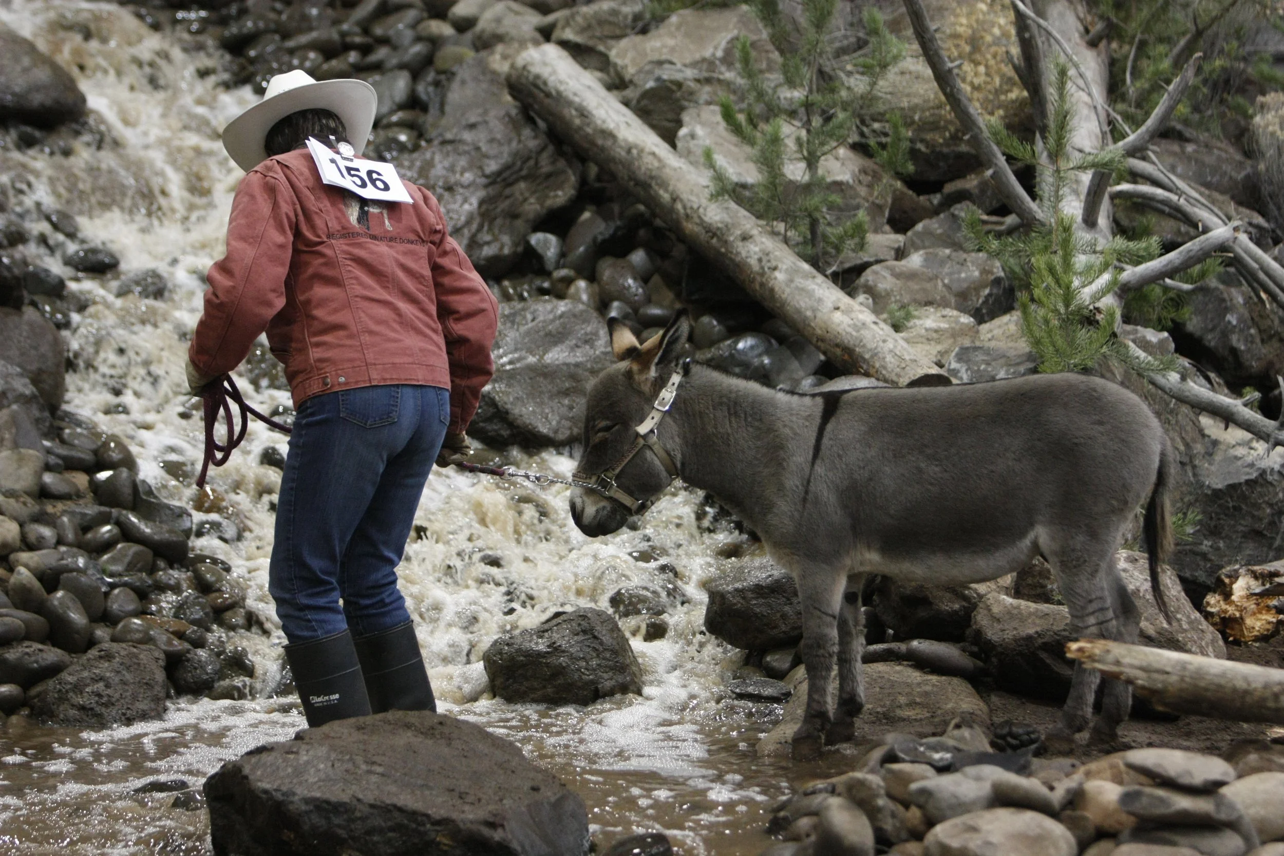 The Oregon Horse Center