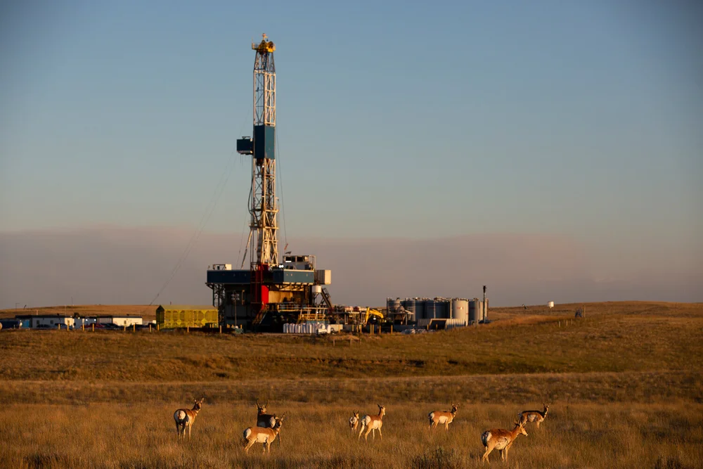 Services — J Dub Enterprises