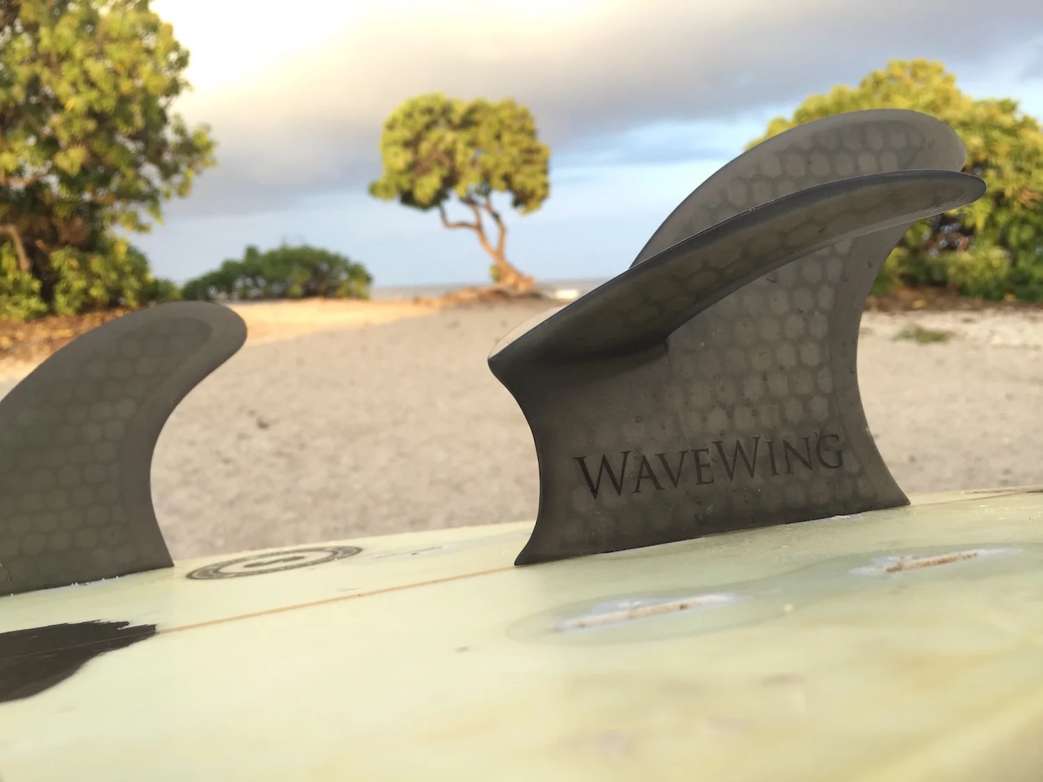 WaveWing