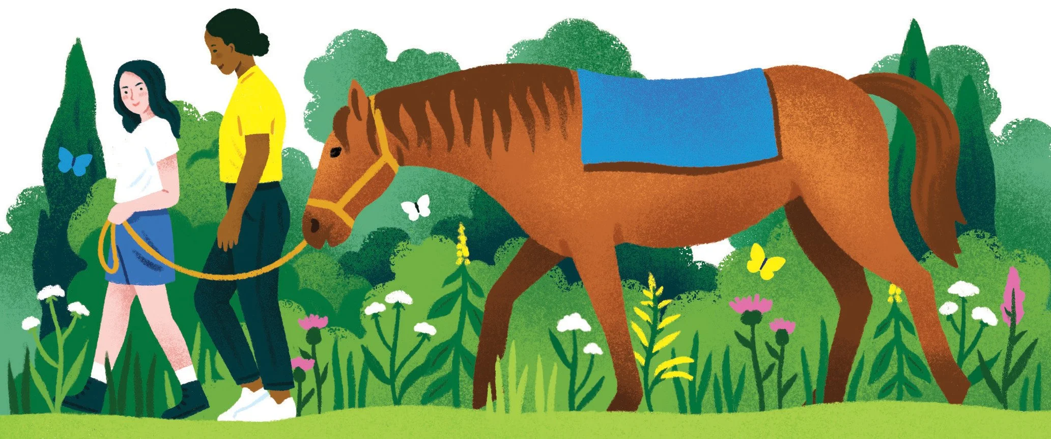 News — Lucy Davey Illustration