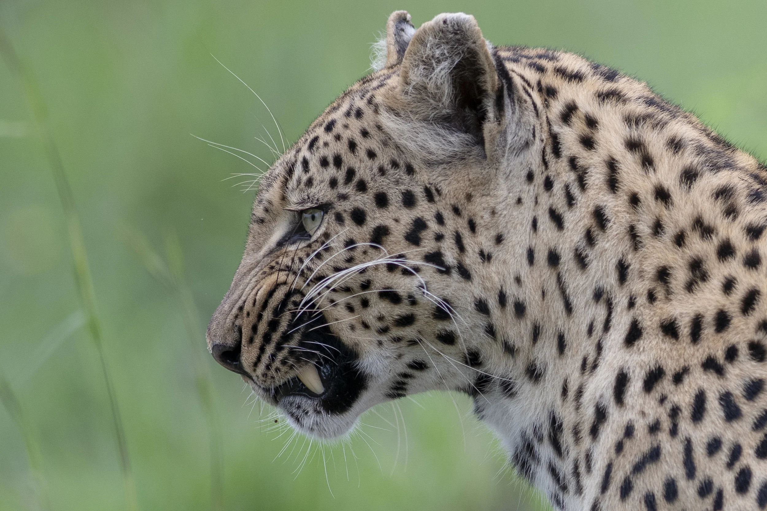 ADAM BARNARD PHOTOGRAPHY