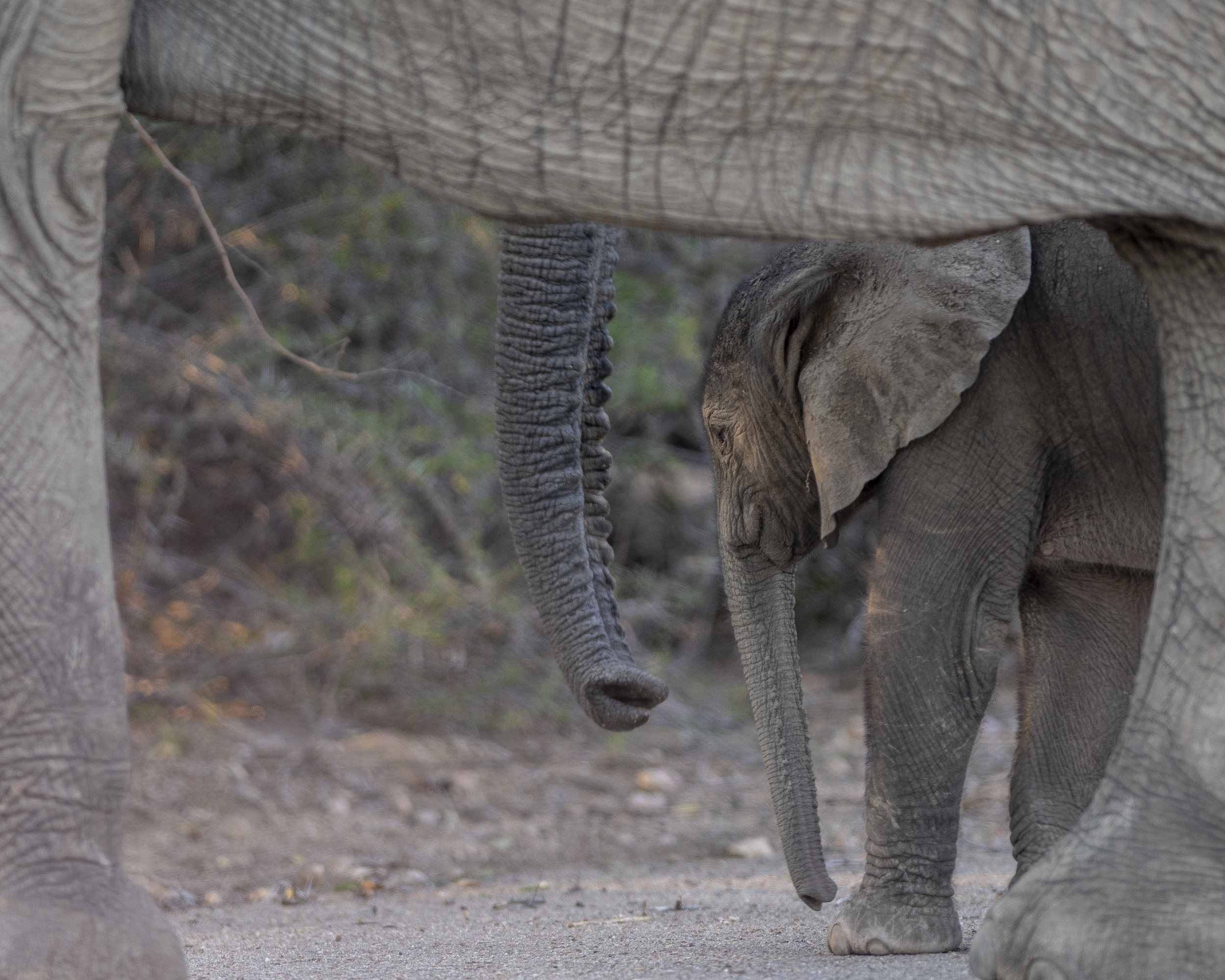 ADAM BARNARD PHOTOGRAPHY