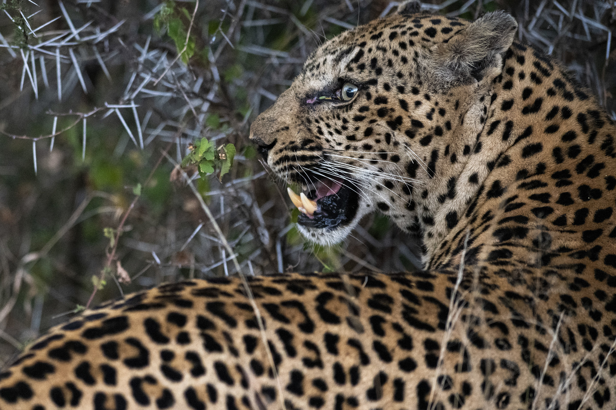 ADAM BARNARD PHOTOGRAPHY