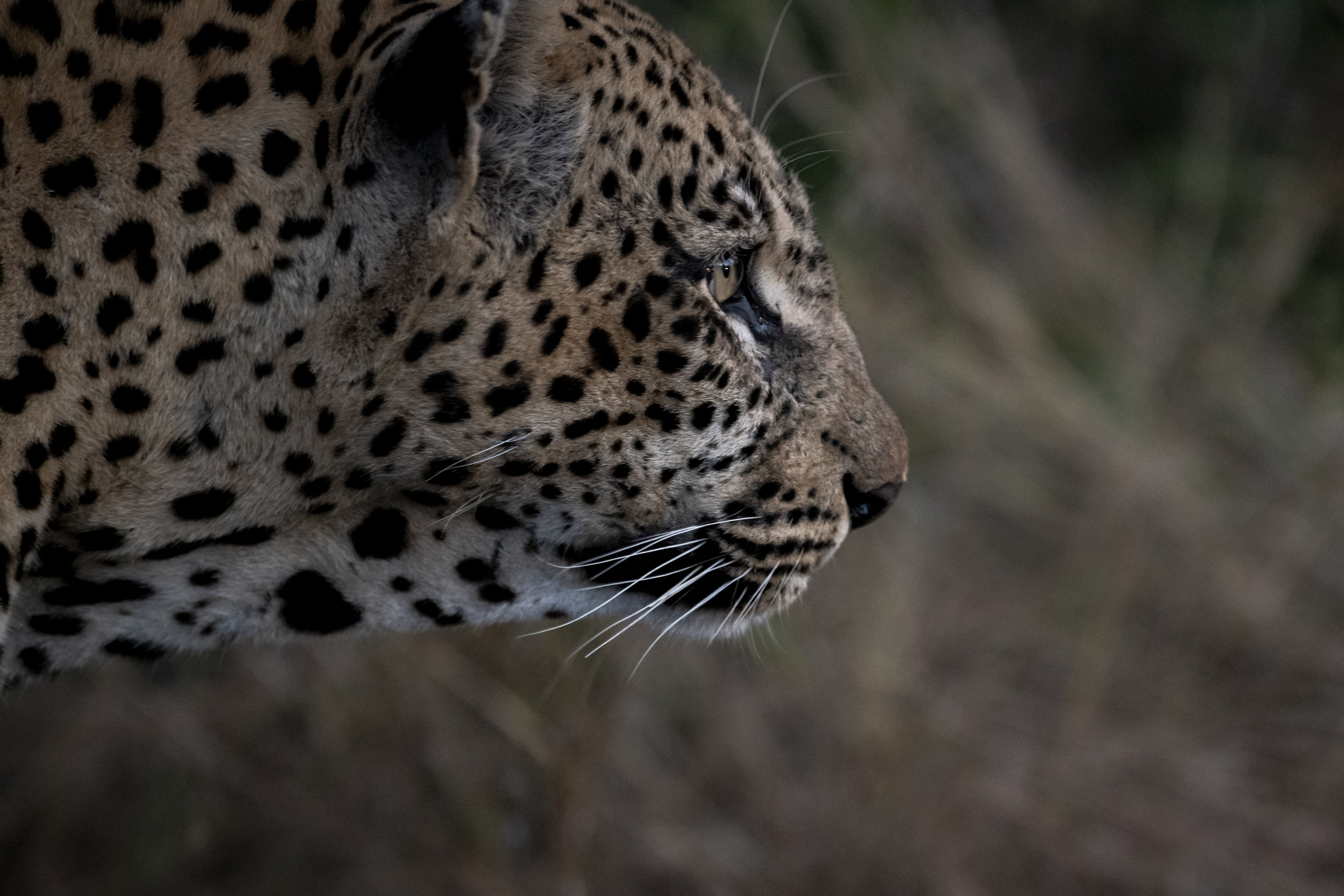 ADAM BARNARD PHOTOGRAPHY